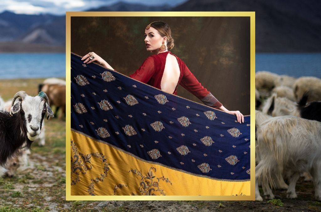 Where does Cashmere come from | Pashmina Editorial