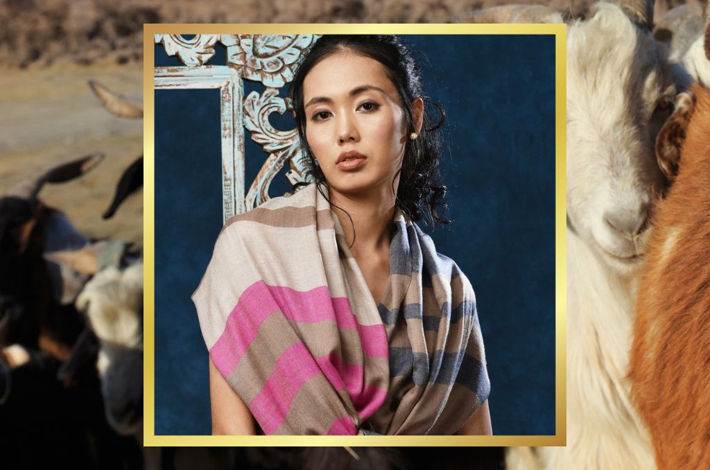 Which country has the best Cashmere | Pashmina Editorial