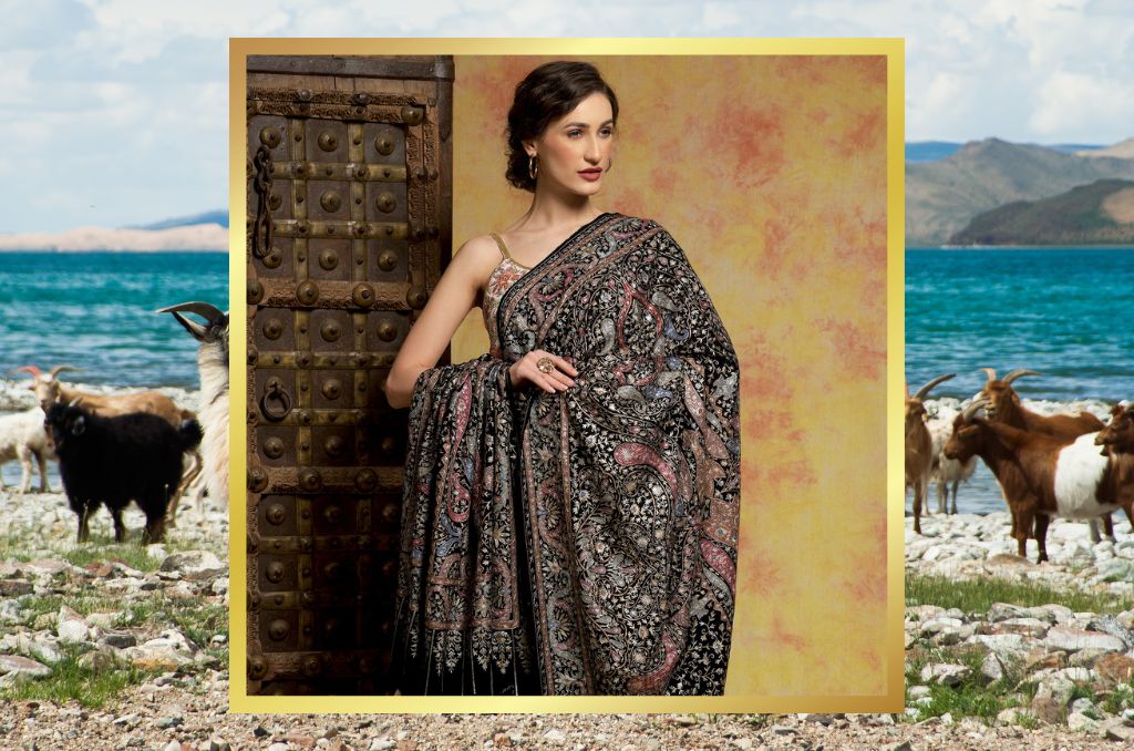What is the most expensive Cashmere? - Pashmina Editorial