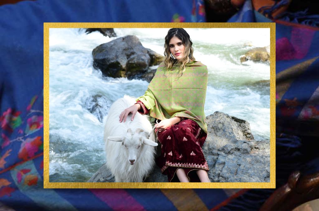Everything about the Pashmina goat | Pashmina Editorial